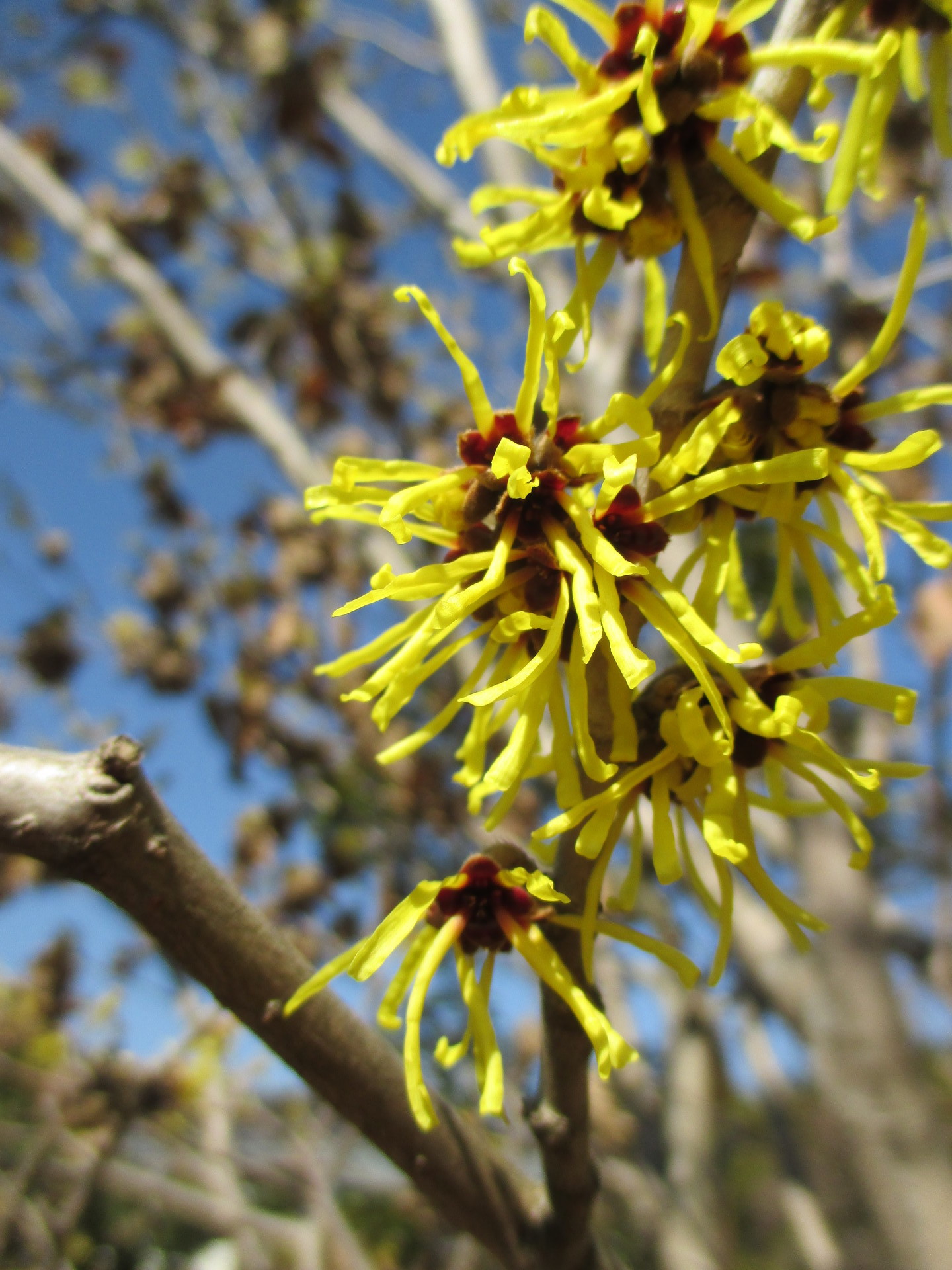眠れば朝になる。: ひとり浮草日記
