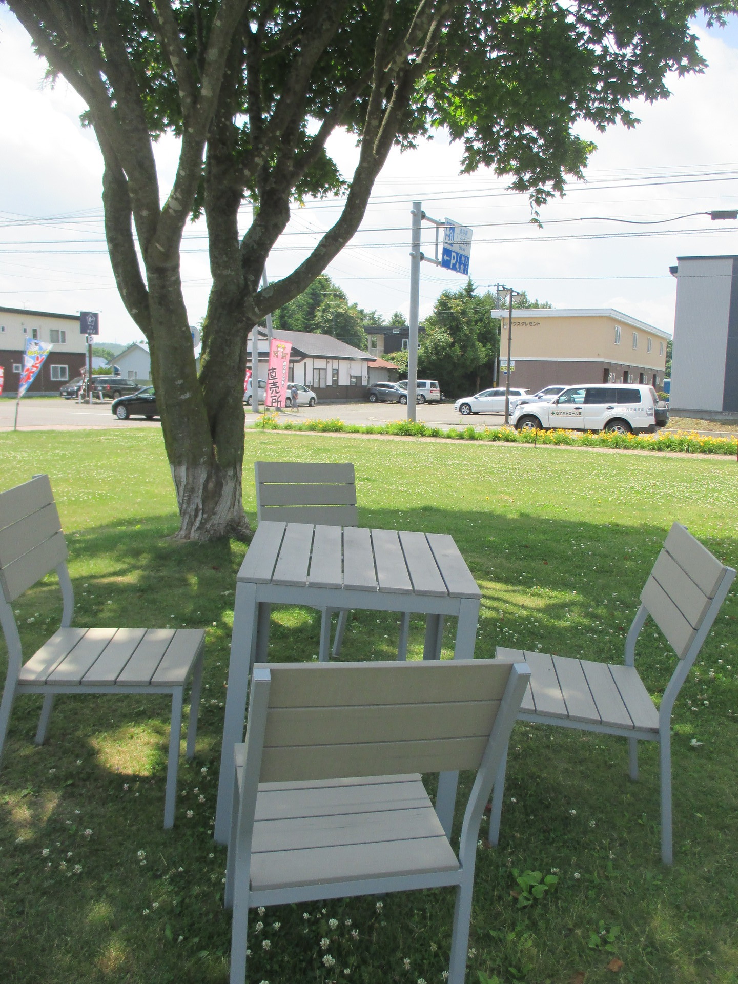 思い出: ひとり浮草日記