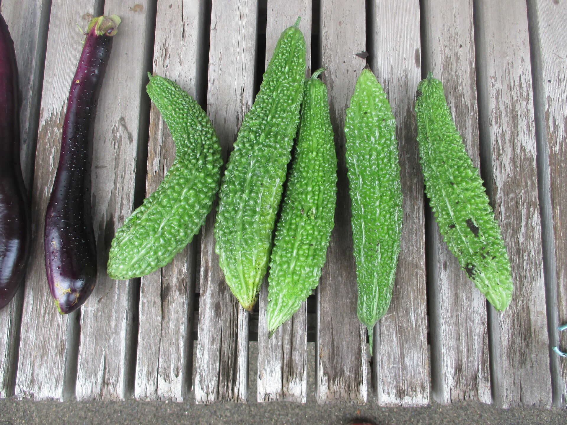 感謝しかない。: ひとり浮草日記