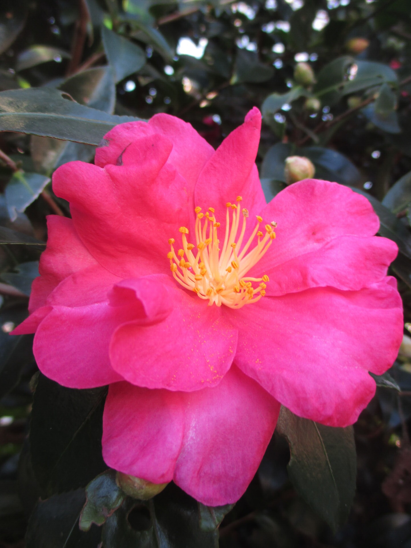 有難くて有難くて涙が出た: ひとり浮草日記