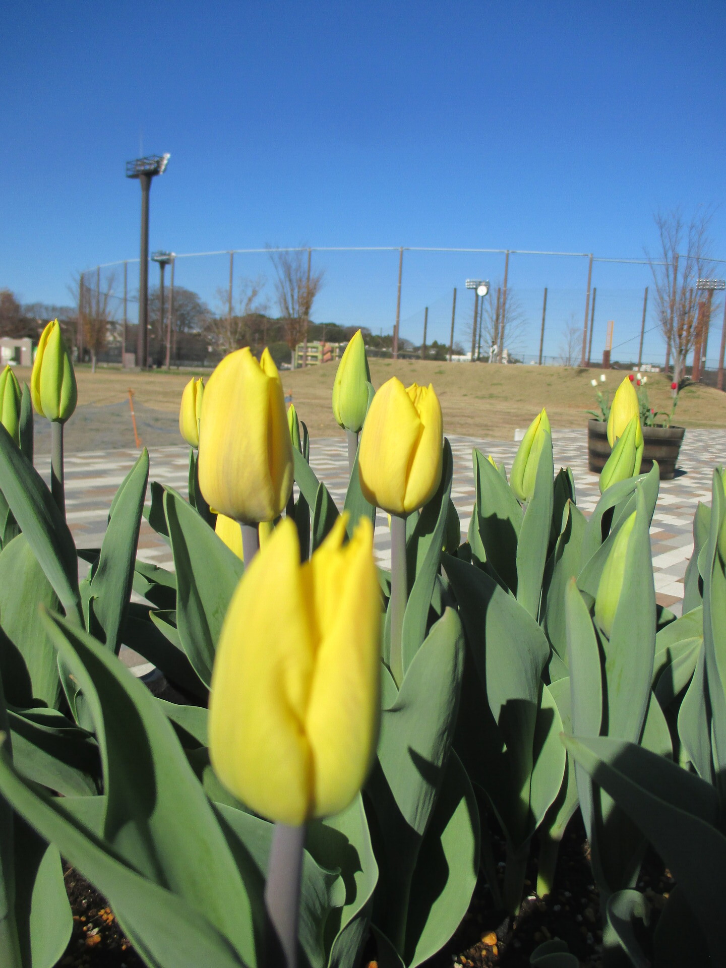 今はもっぱら生卵: ひとり浮草日記