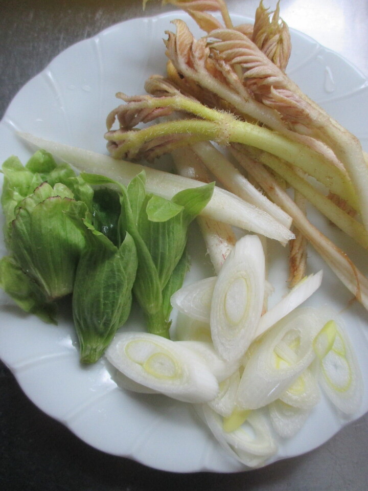 雪の舞うひなまつり: ひとり浮草日記