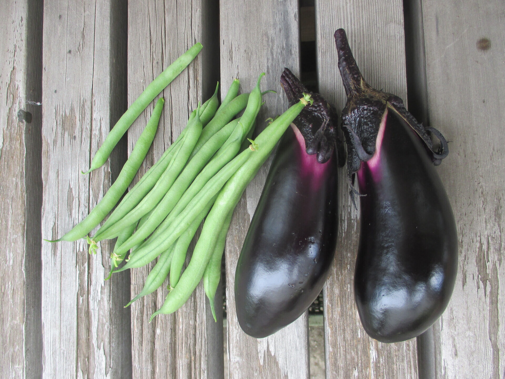 一雨ほしい: ひとり浮草日記