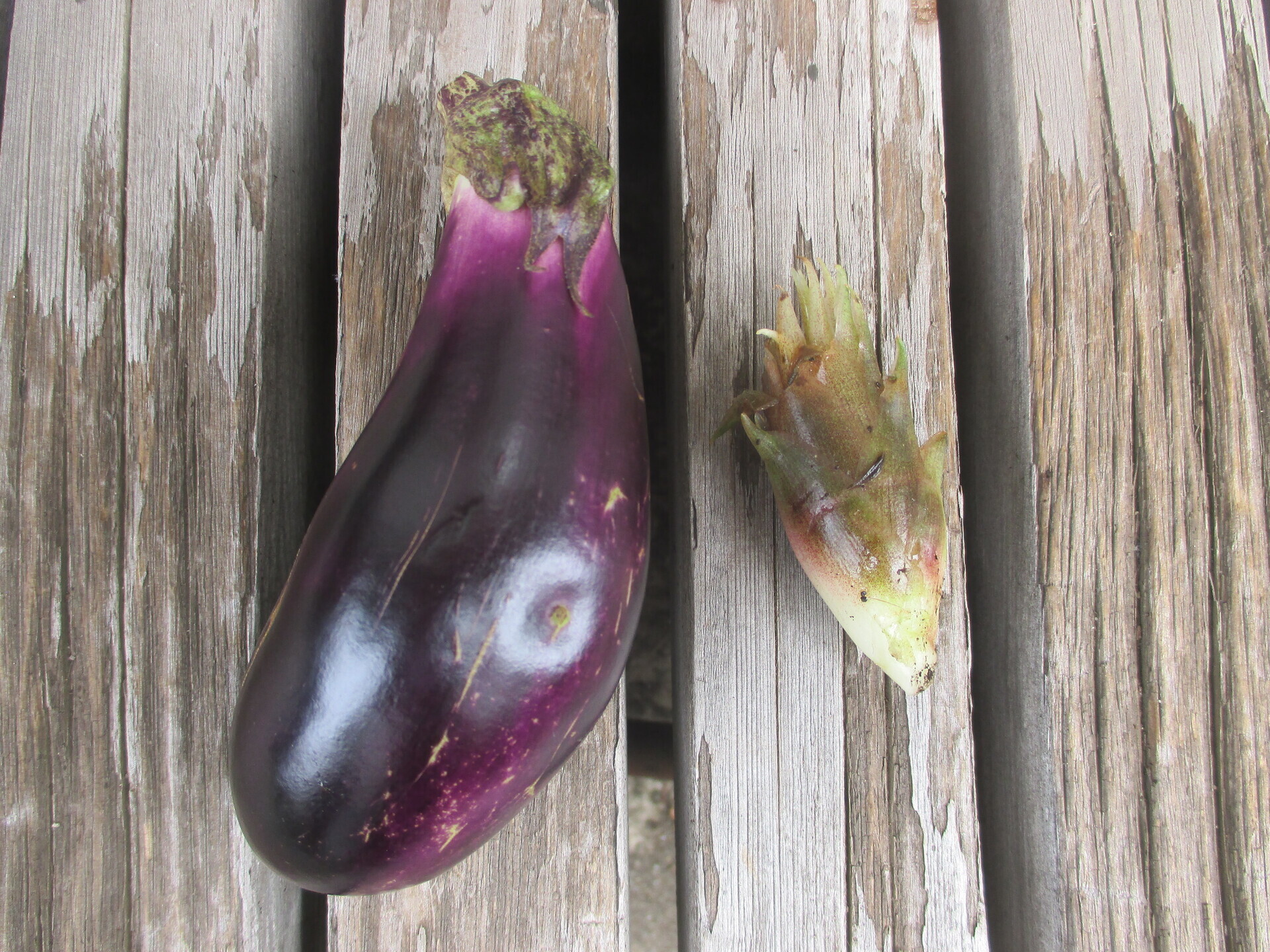 心穏やかな日: ひとり浮草日記