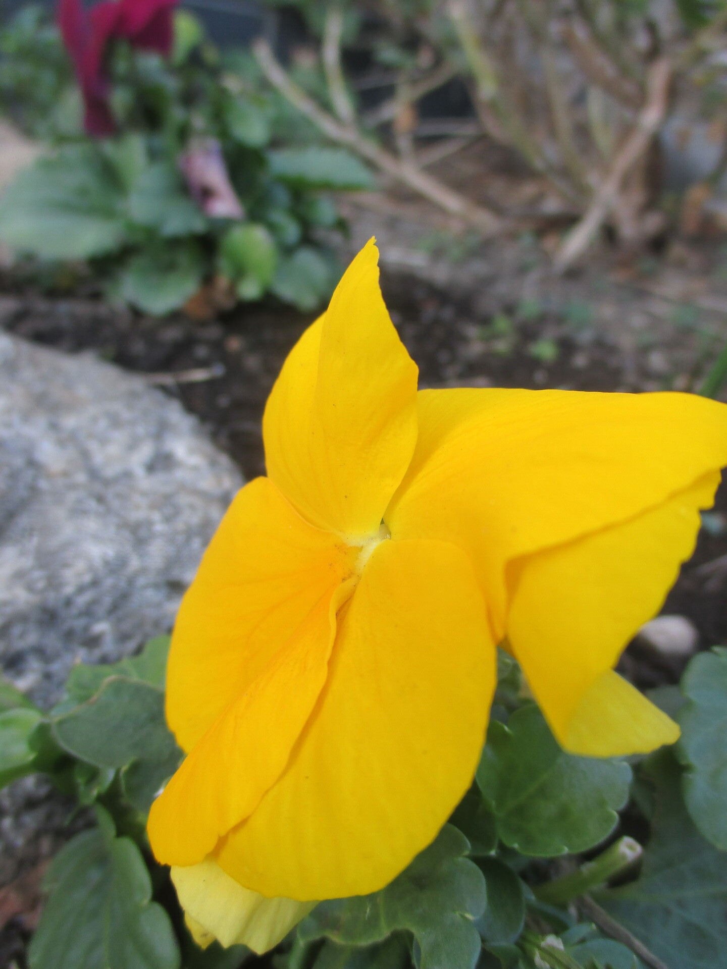 小休止: ひとり浮草日記